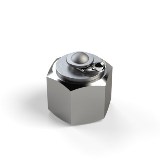 1/4" Stainless Steel Pipe Cap with Hex Head